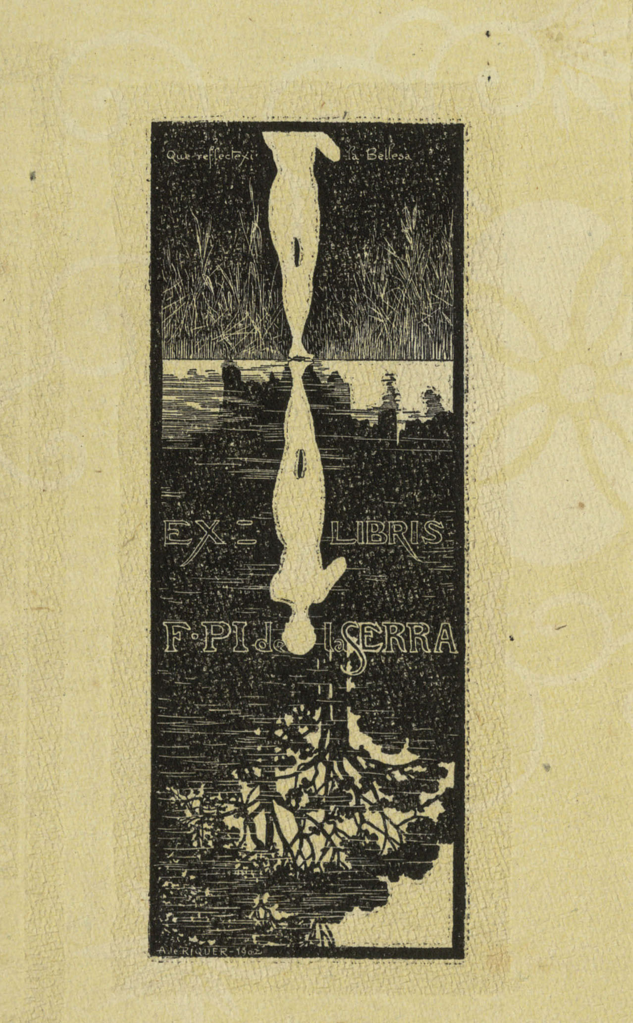 May it reflect Beauty, 1902 – un regard oblique