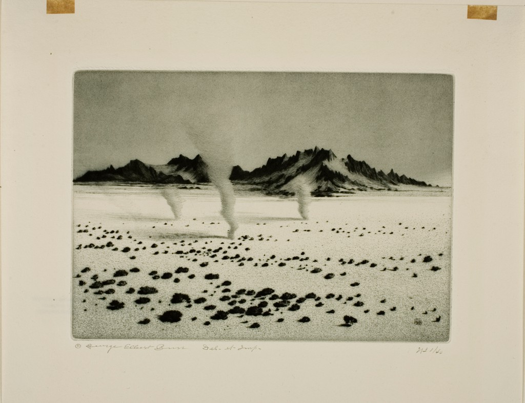 George Elbert Burr – un regard oblique