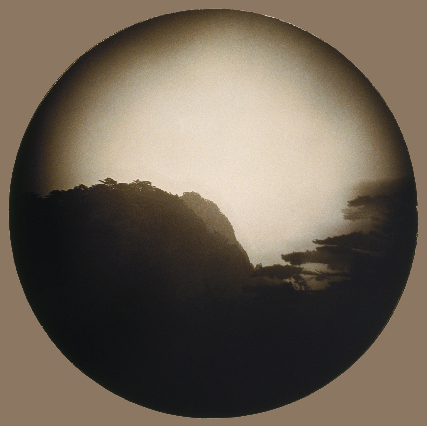 Han Lei – un regard oblique