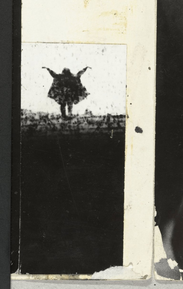 Sanne Sannes – un regard oblique